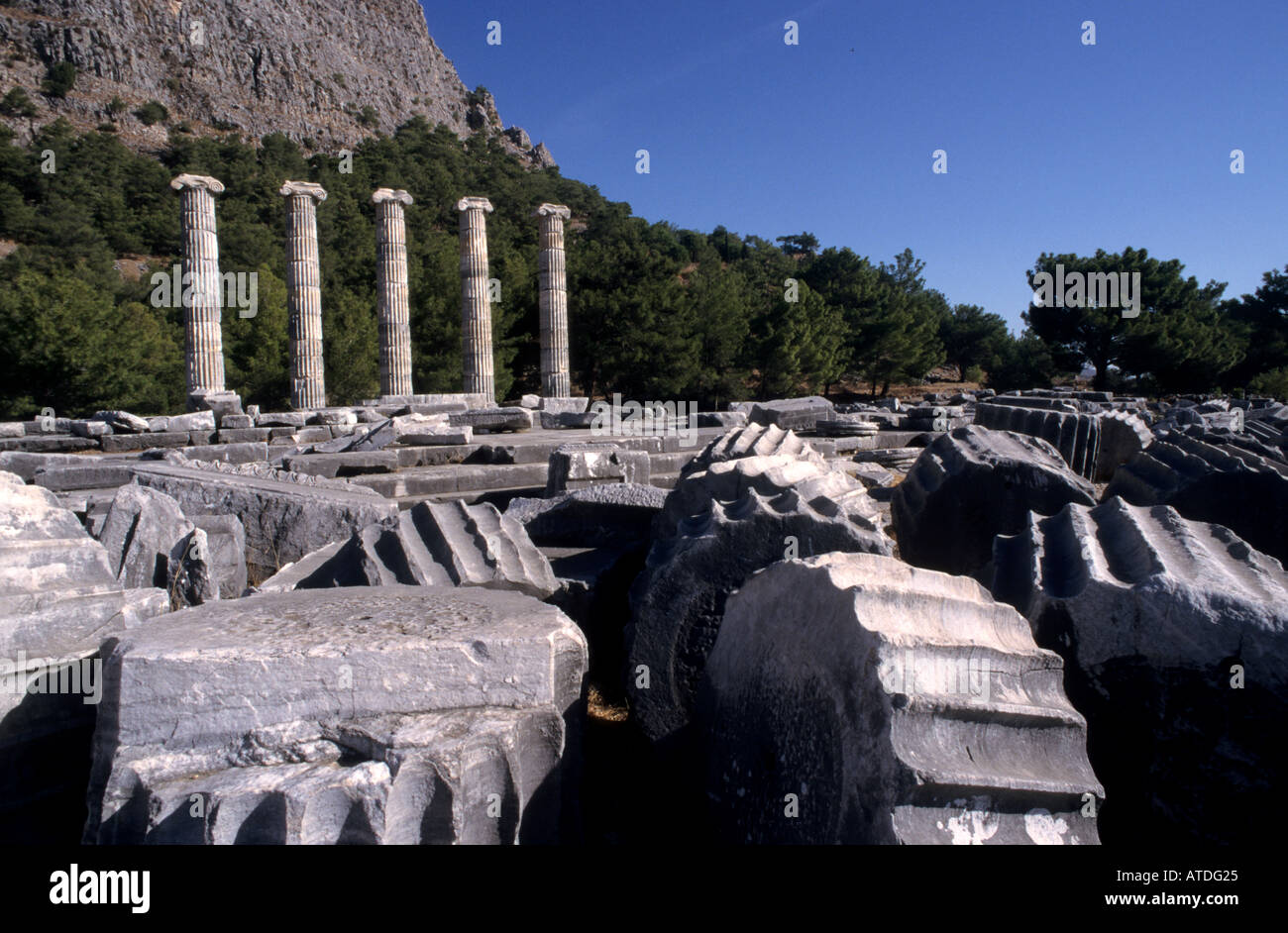 Priene Ionic pillars of Athena Temple by Pytius od Halicarnassus Stock ...