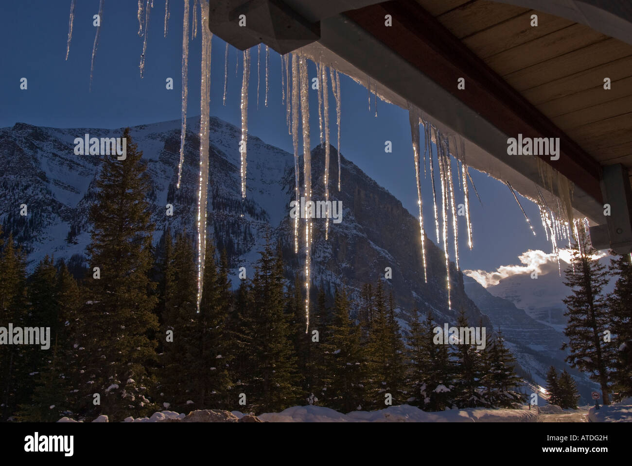 winter icicles frozen ice spikes hang from roof trees mountains in ...
