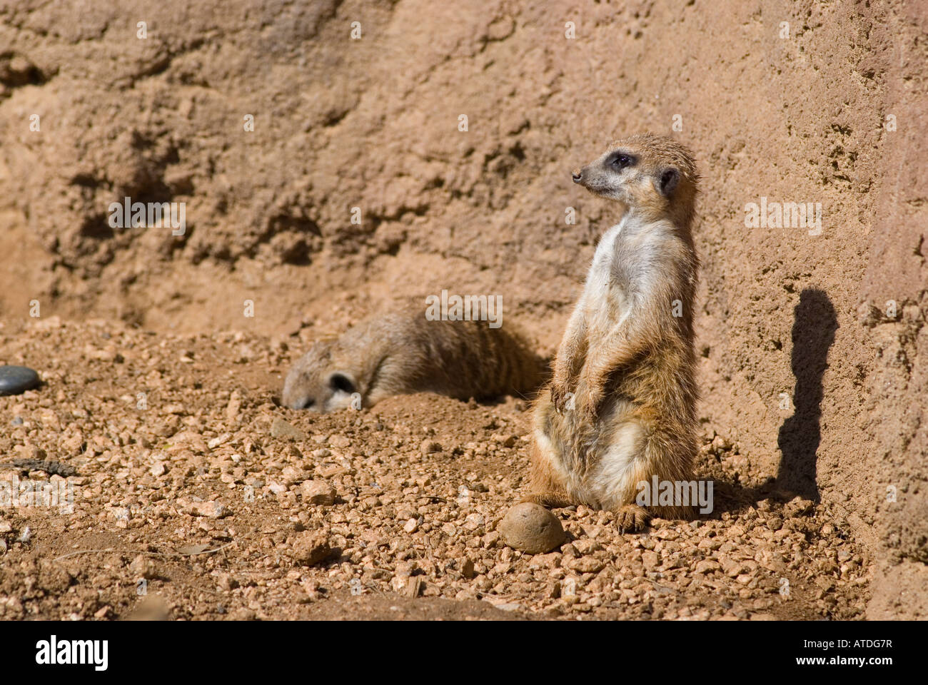 Dig sit hi-res stock photography and images - Alamy