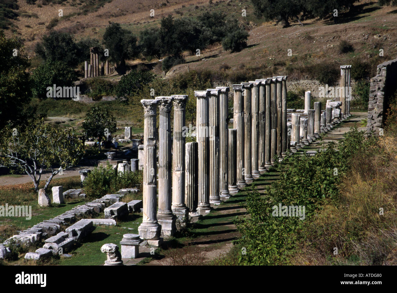 Pergamon or Pergamum 282 BC–129 BC was a rich and powerful ancient ...