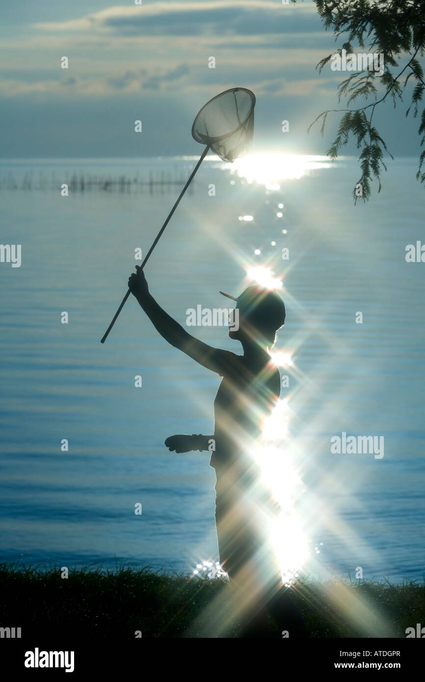 Silhouette of young man holding butterfly net Stock Photo - Alamy