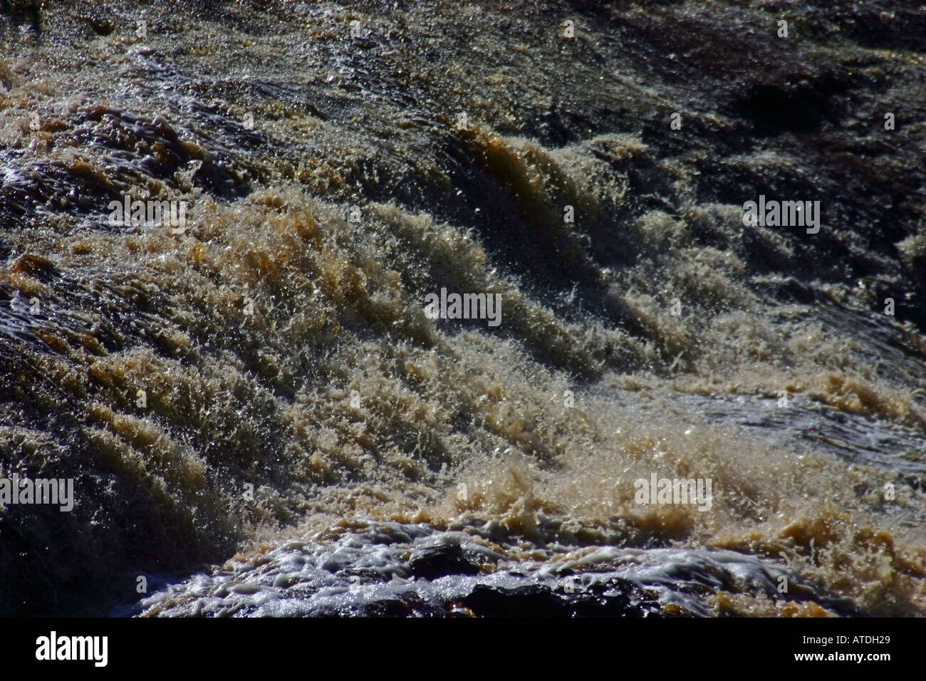 Spring surge of water cascades down waterfall in stream through forest ...