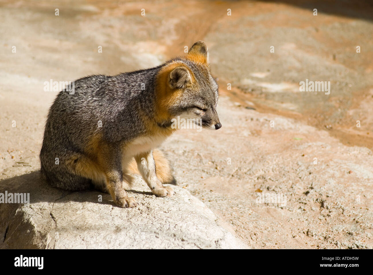 Victoria texas zoo hi-res stock photography and images - Alamy