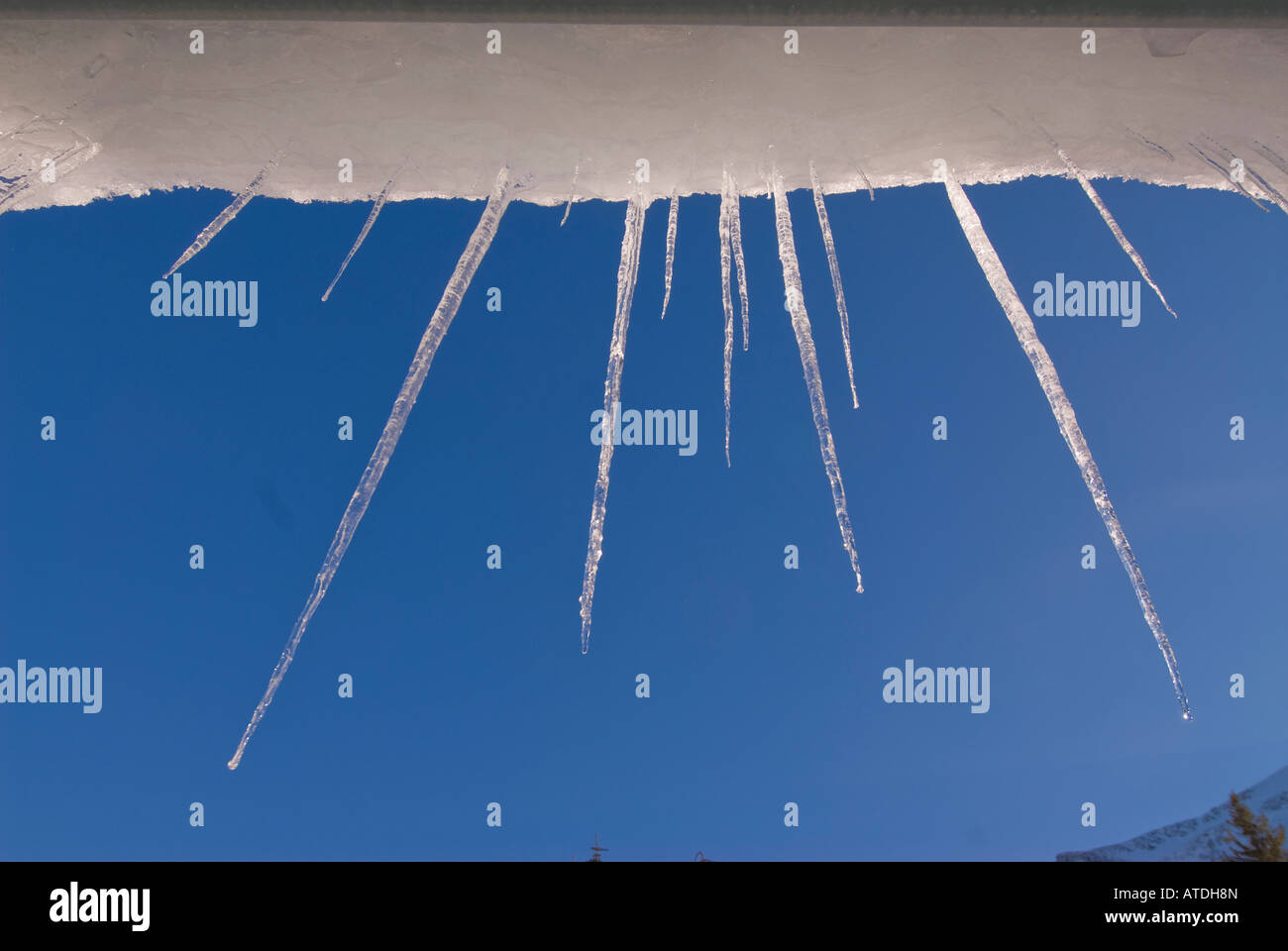 winter icicles frozen ice spikes hang from roof bright sparkling ...