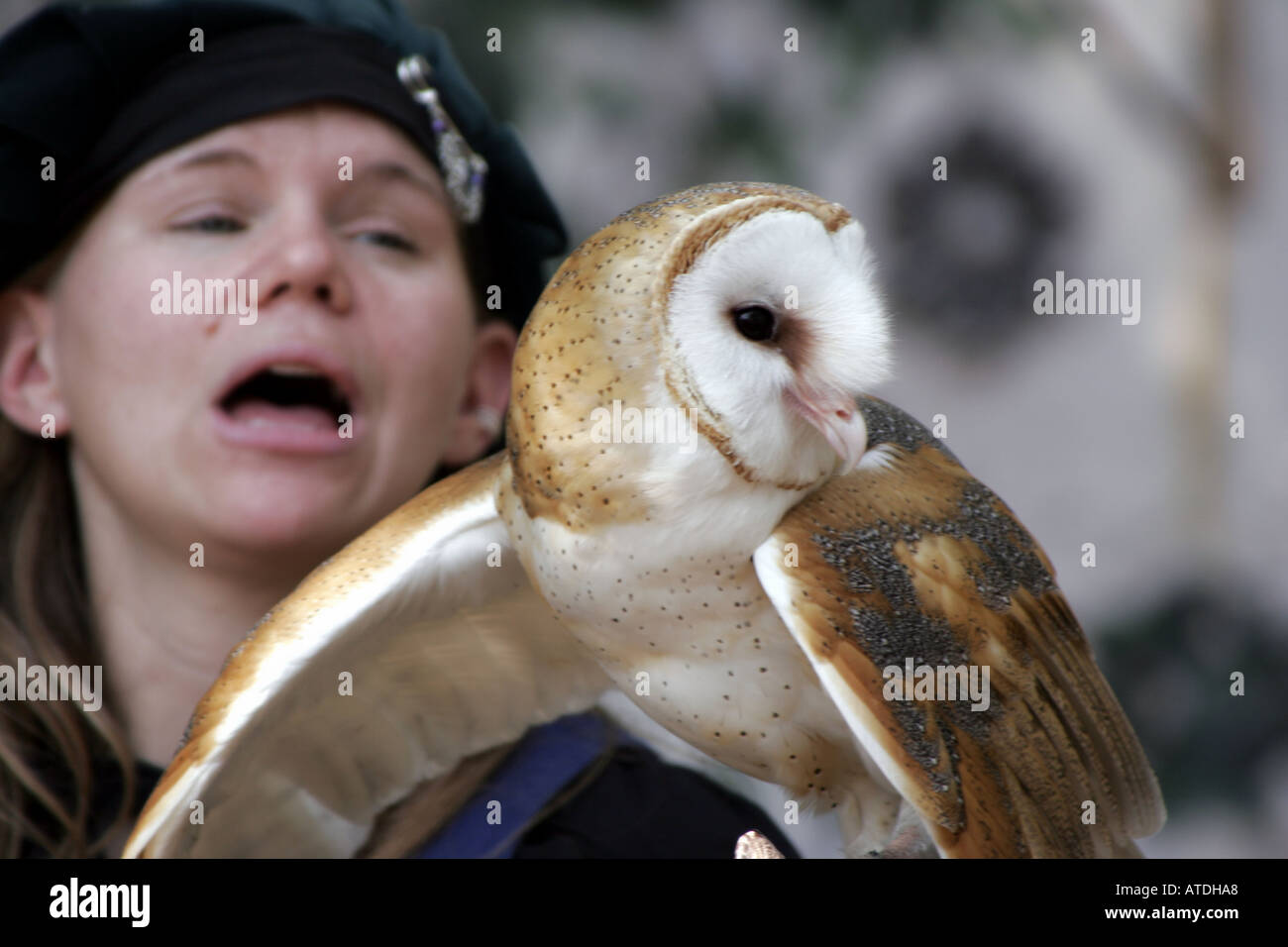 Trainer holding a barn owl Stock Photo - Alamy