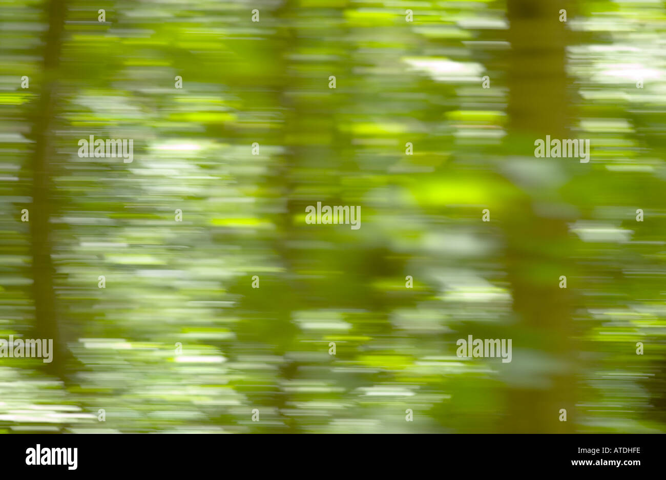 Abstract image of Blurred Trees Stock Photo - Alamy