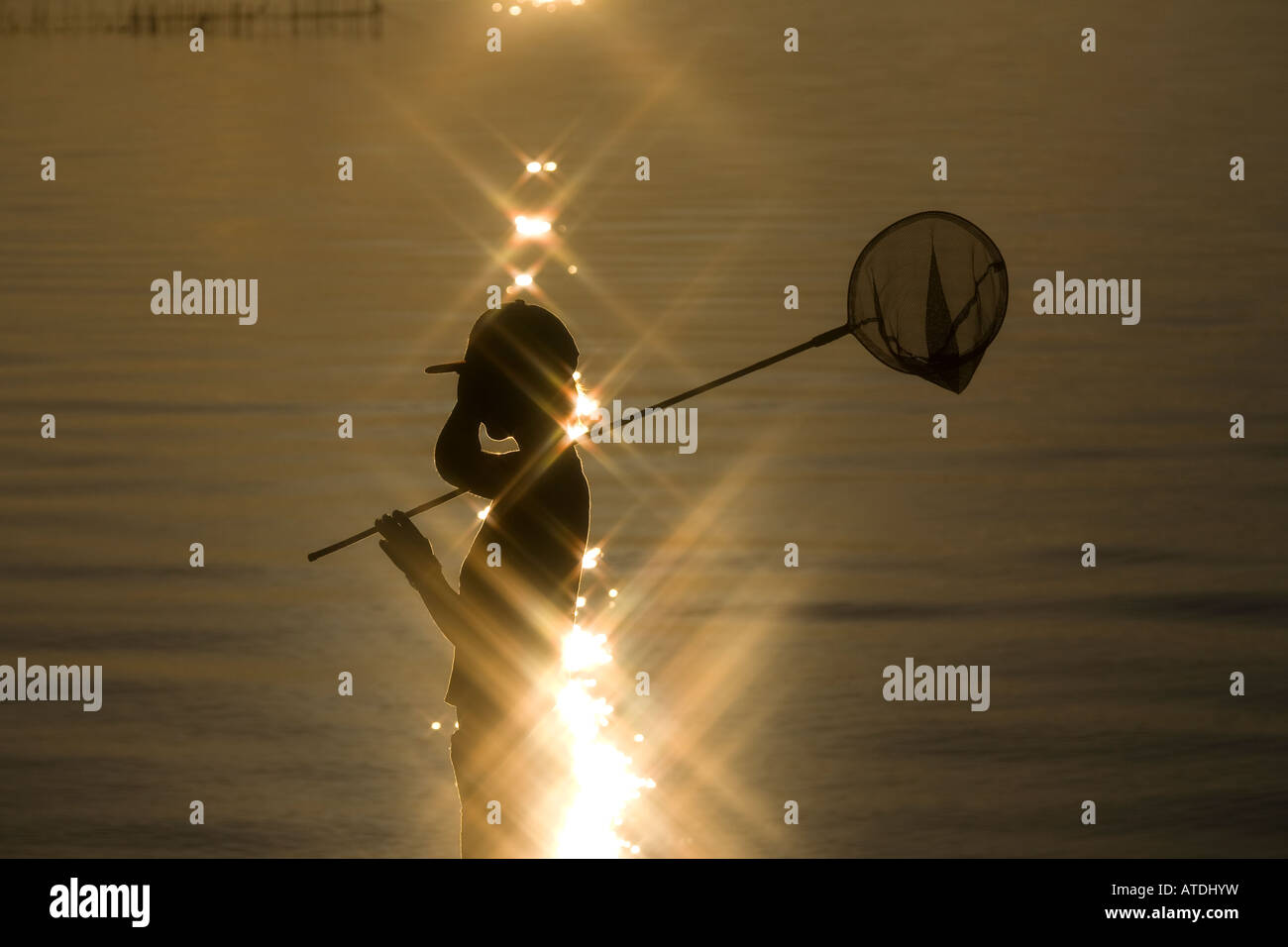 Butterfly silhouette side view hi-res stock photography and images - Alamy