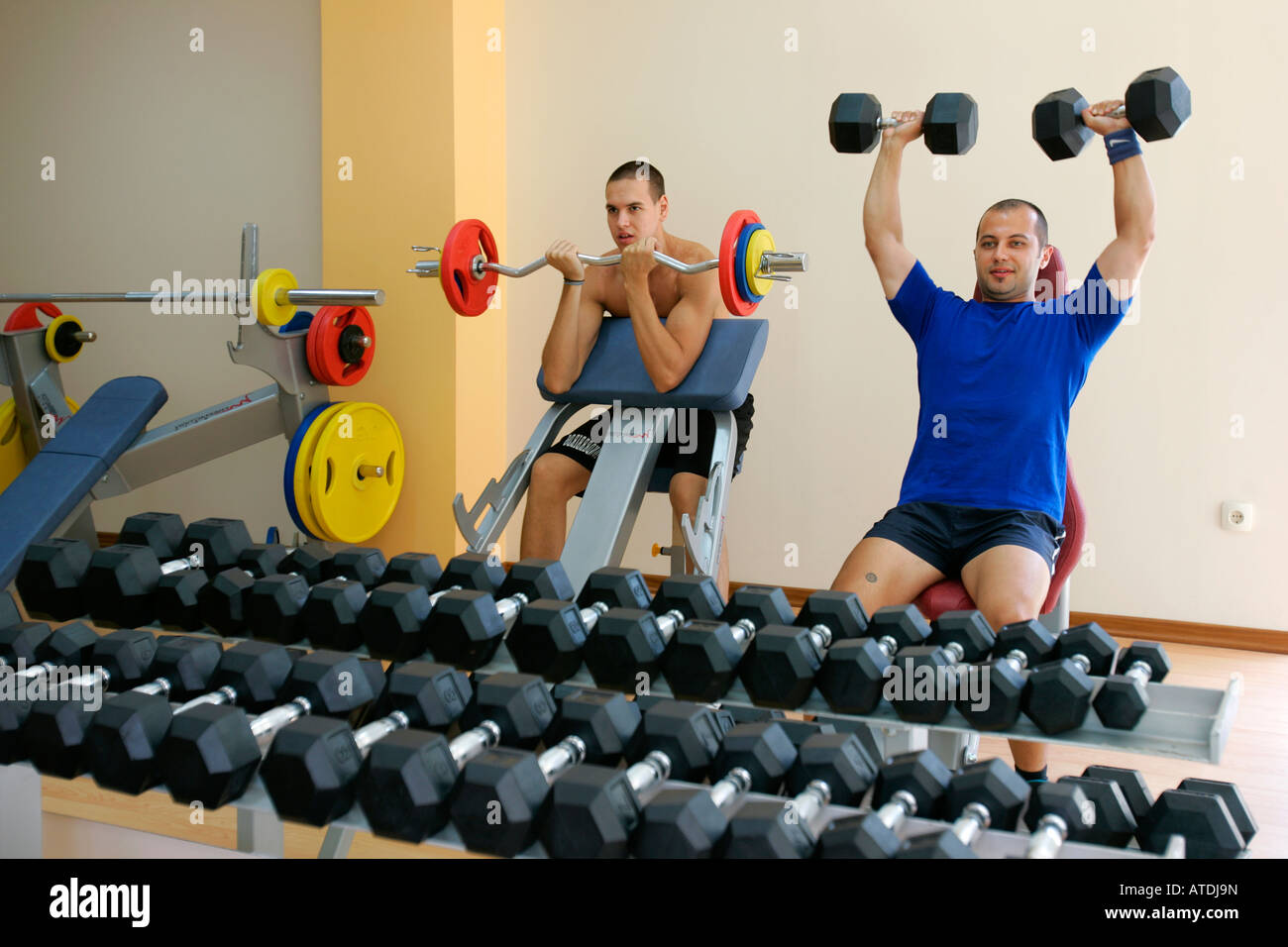 Fitness club gym healthy sport muscles training Stock Photo - Alamy
