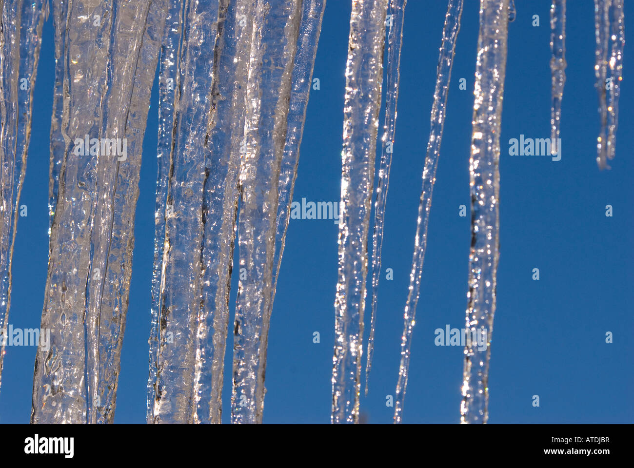 Winter Icicles hanging with blue sky background Stock Photo - Alamy