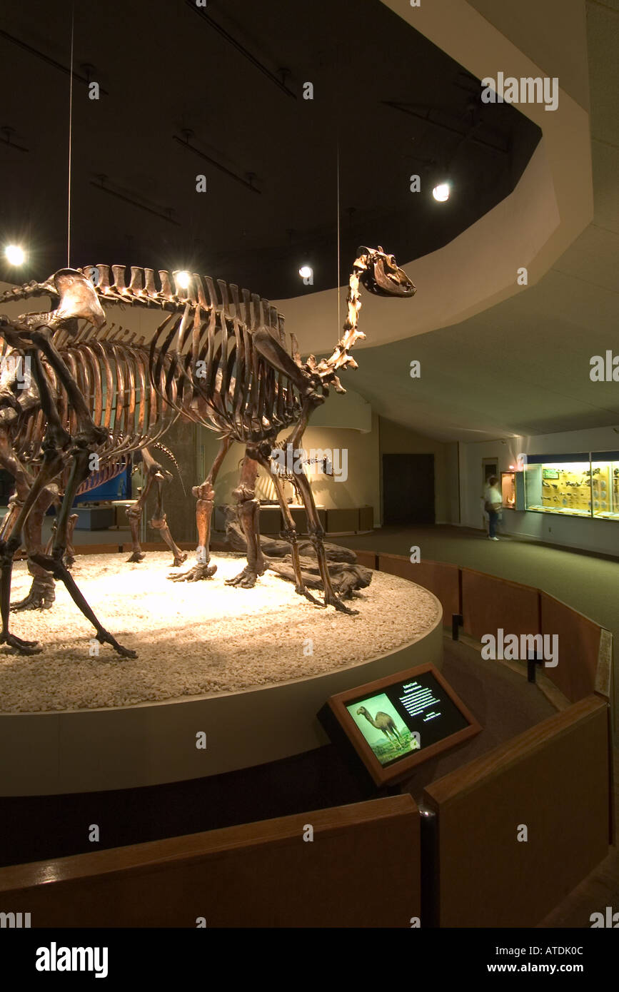 Page Museum La Brea Tar Pits Los Angeles California Stock Photo - Alamy