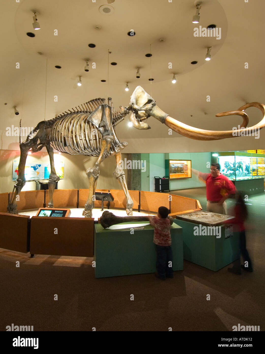 Page Museum La Brea Tar Pits Los Angeles California Stock Photo - Alamy