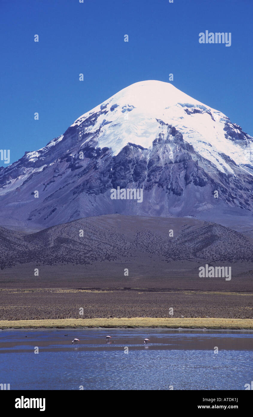 Volcan nevado sajama hi-res stock photography and images - Alamy