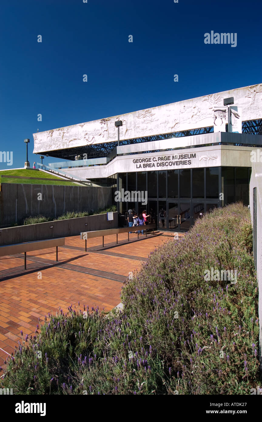 Page Museum La Brea Tar Pits Los Angeles California Stock Photo - Alamy