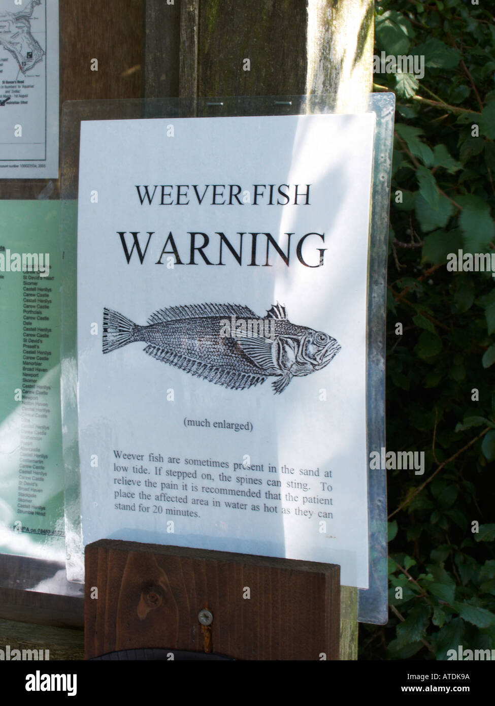 Weeve hi-res stock photography and images - Alamy