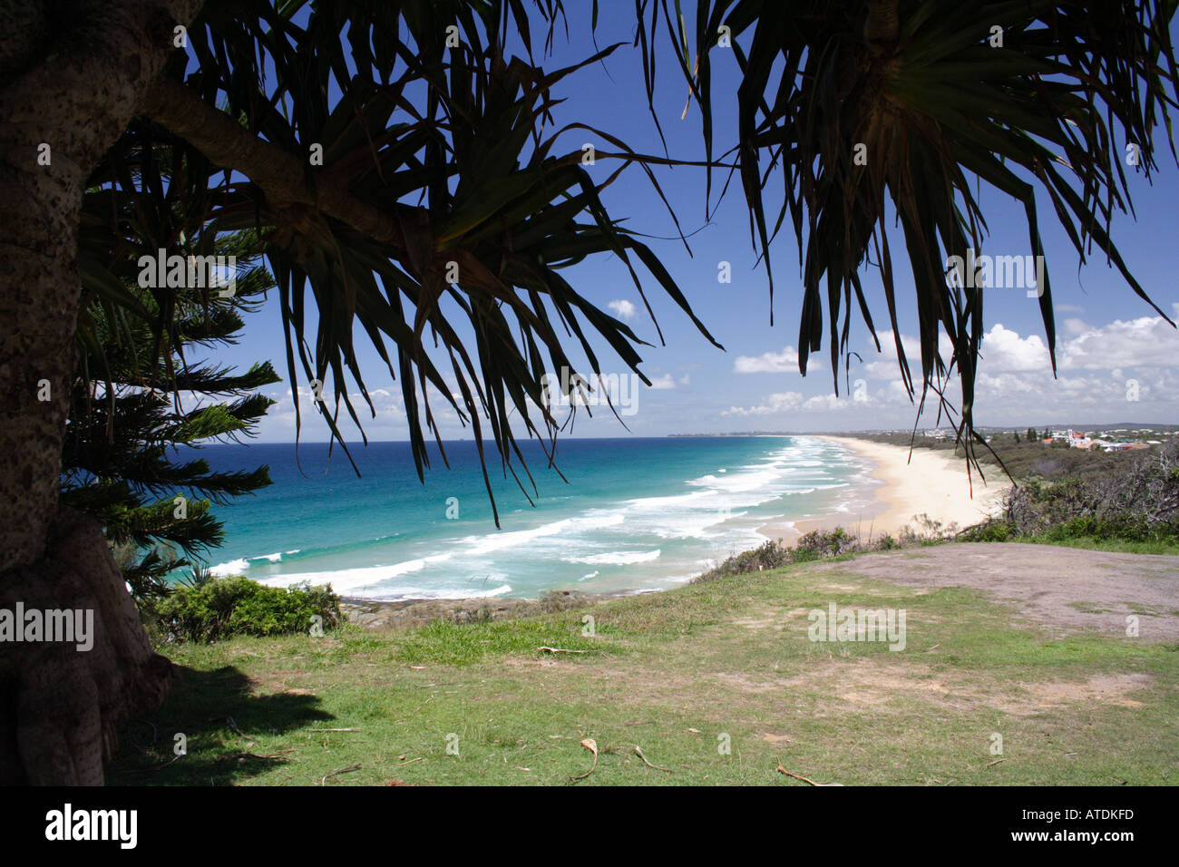 TROPICAL PARADISE SUNSHINE COAST QUEENSLAND AUSTRALIA Stock Photo - Alamy