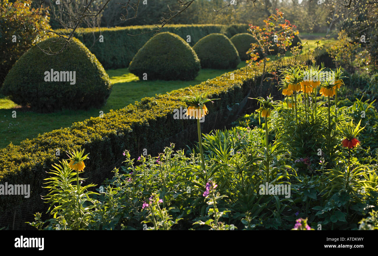 Evening Sun Garden
