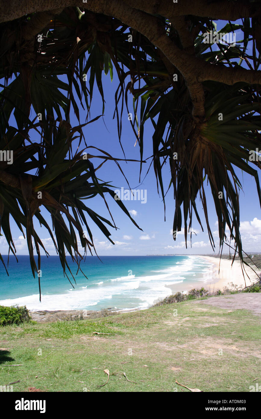TROPICAL PARADISE SUNSHINE COAST QUEENSLAND AUSTRALIA Stock Photo - Alamy