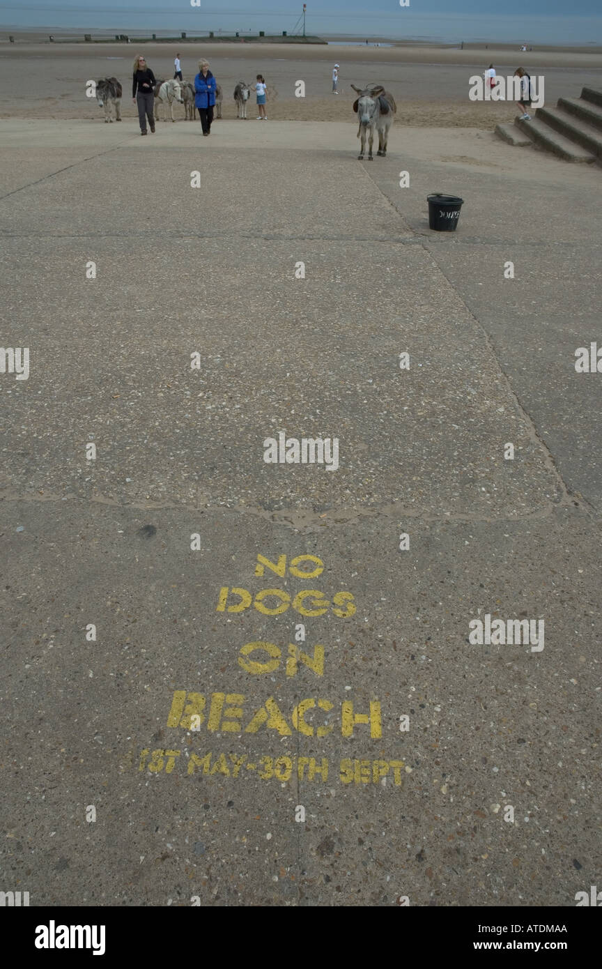 No Dogs on Beach Mablethorpe Lincolnshire England UK Stock Photo - Alamy