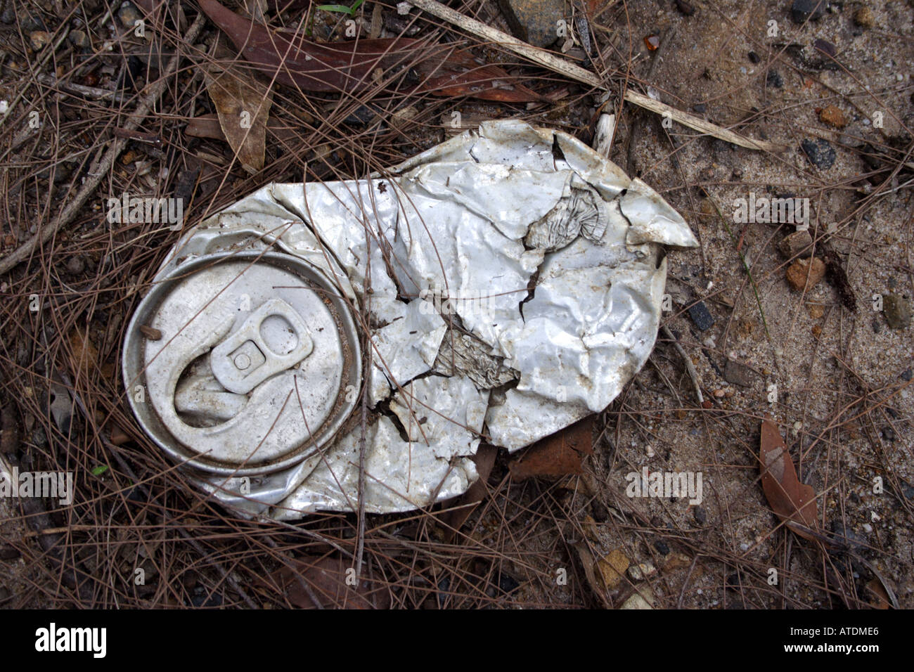 Squashed leaves hi-res stock photography and images - Alamy