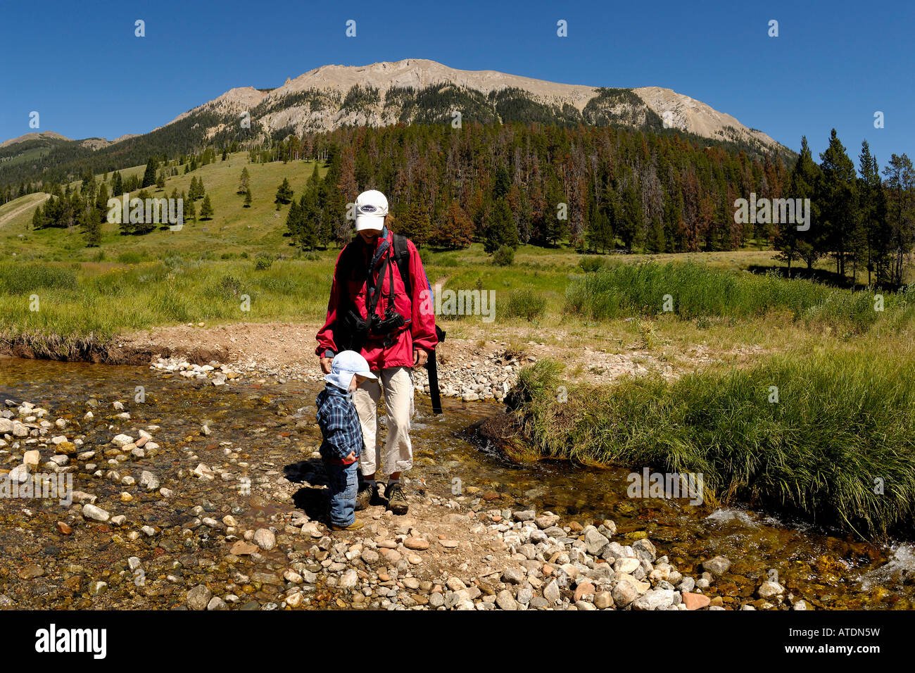 Green River Bridger Teton National Forest Wyoming Stock Photo - Alamy