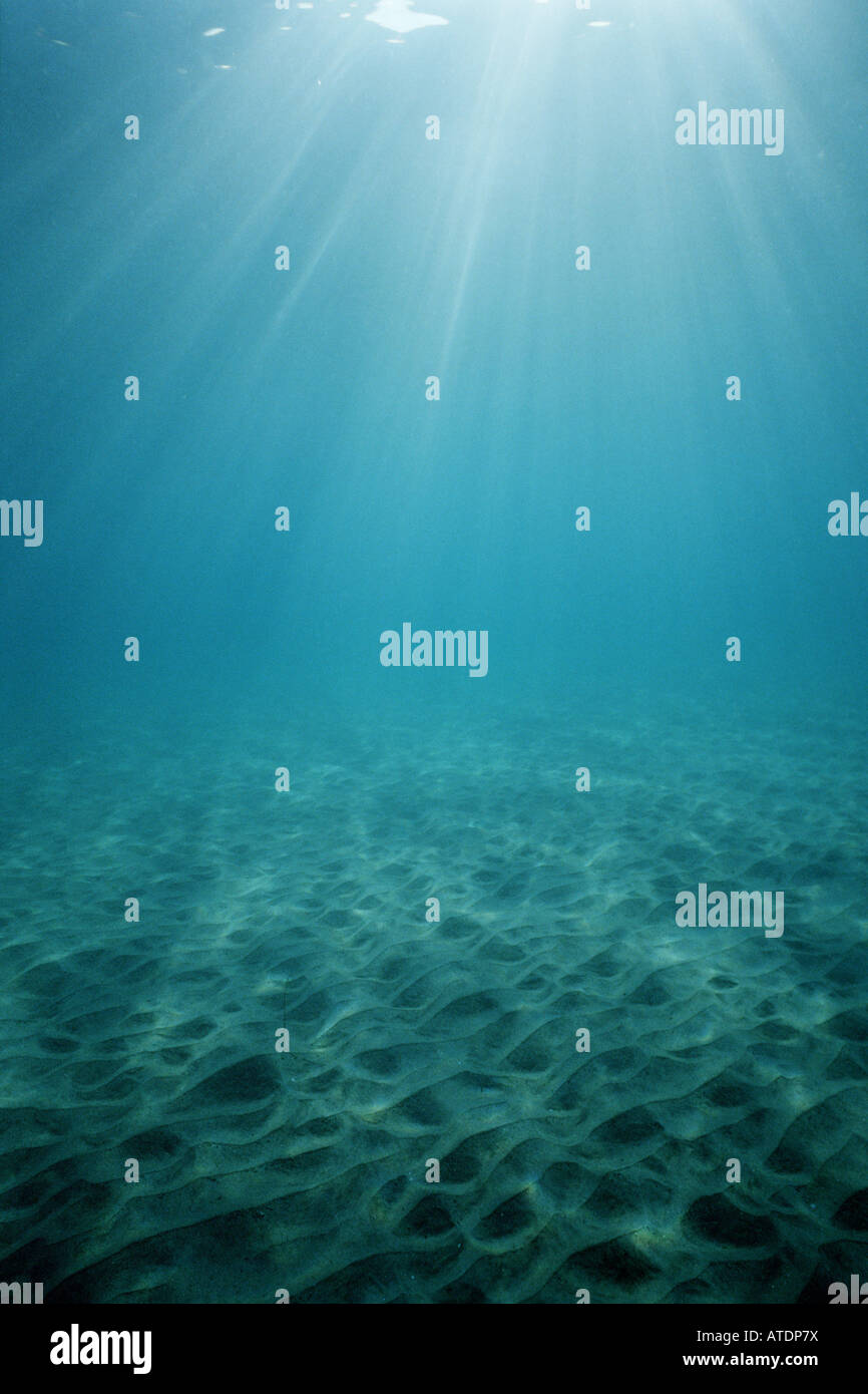 A sandy ocean plain California Pacific Ocean Stock Photo - Alamy