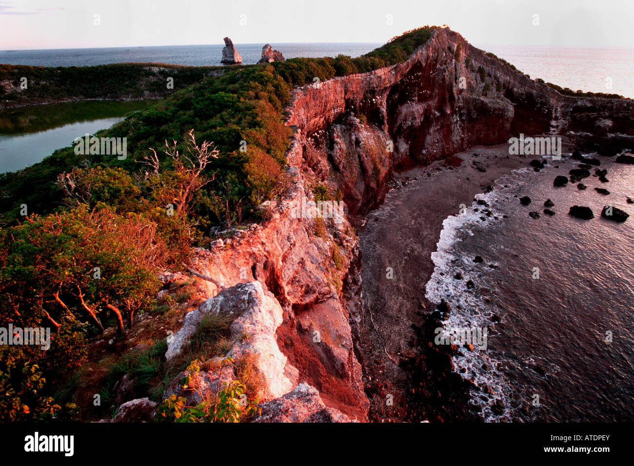 Oceanic islands are often home to nesting sea birds Isabella island has ...