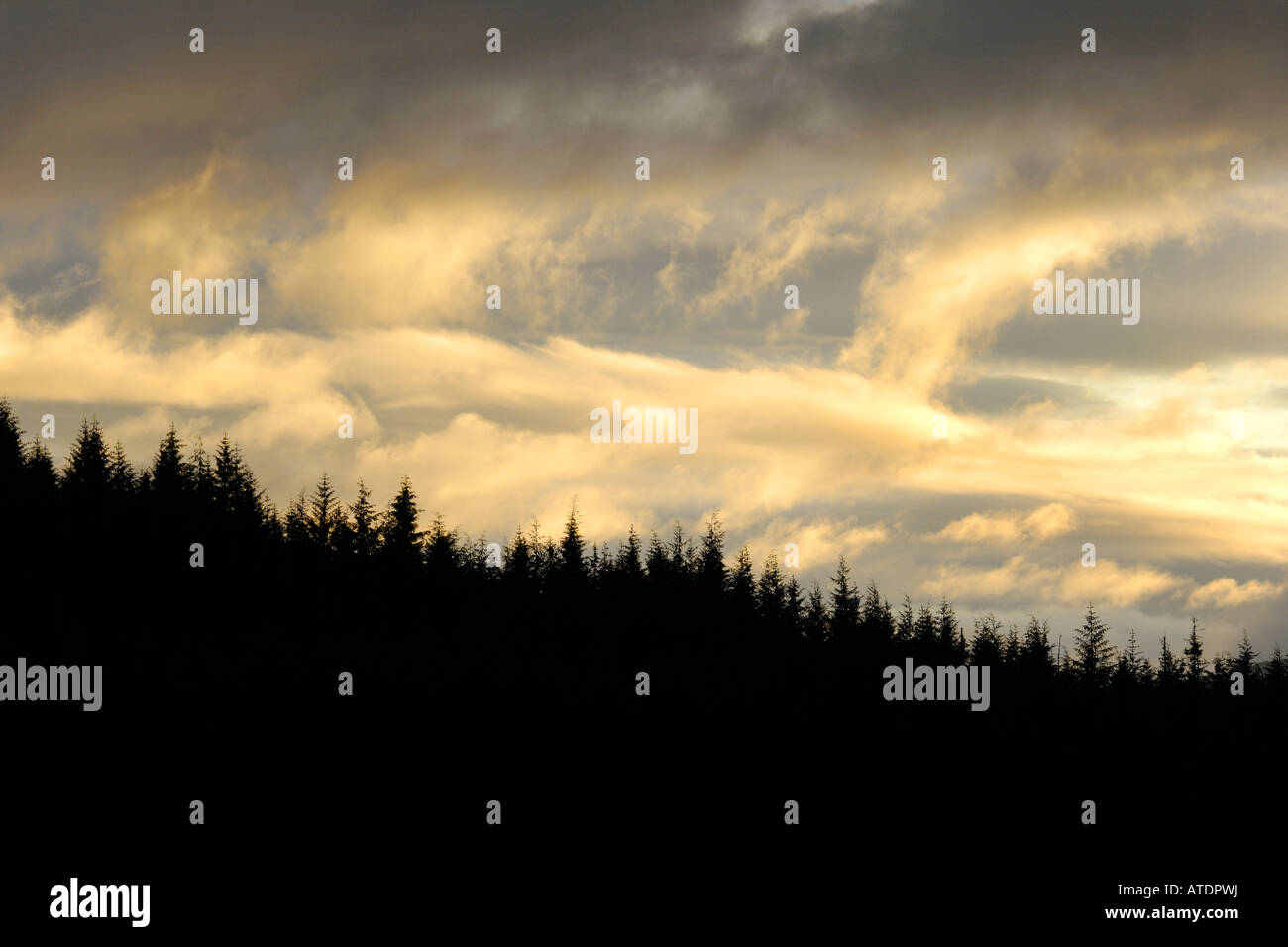 Cruising South East Alaska s Inside Passage Wrangell Narrows Alaska ...