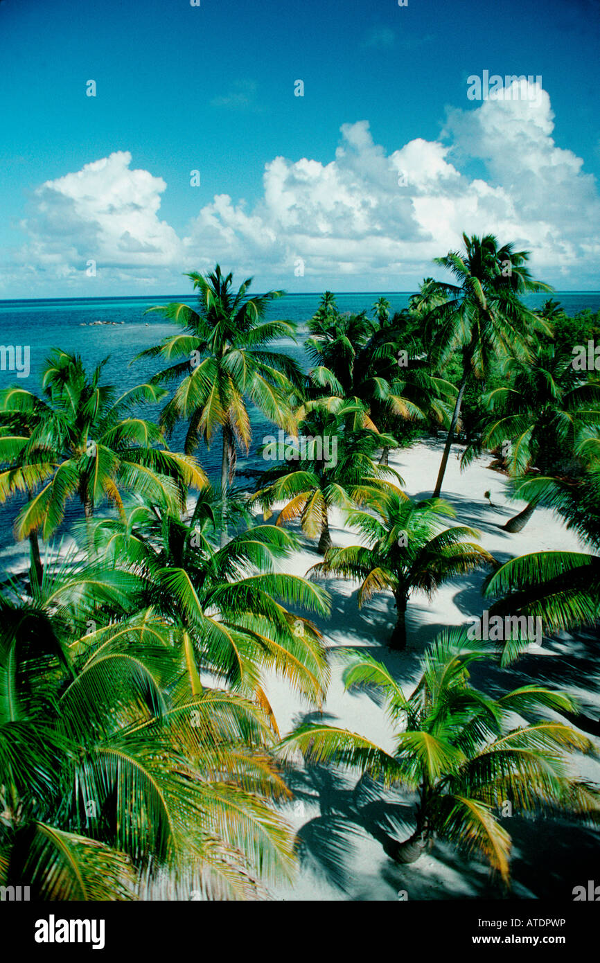 Tropical beach scene Caribbean Atlantic Ocean Stock Photo - Alamy