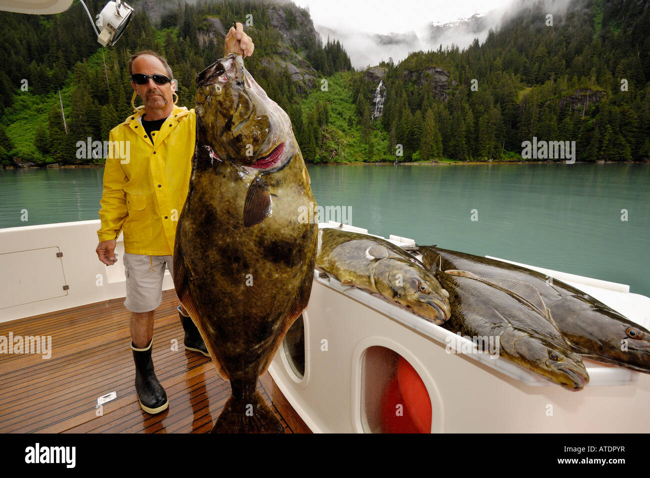 Pacific halibut ocean hi-res stock photography and images - Alamy