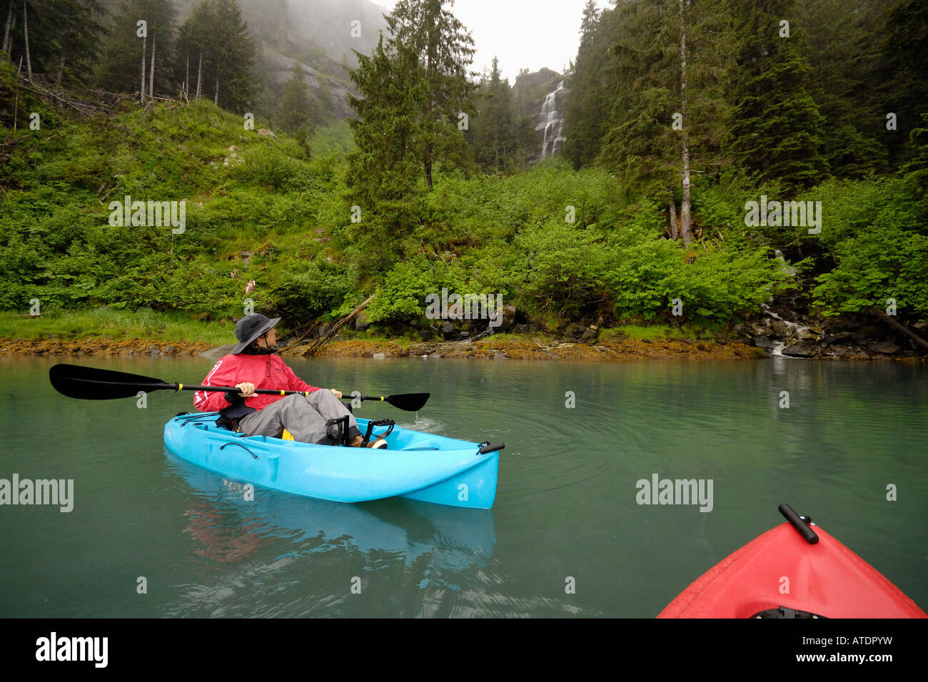Sea kayaking in Takatz Bay Baranof Island Alaska Pacific Ocean Stock ...