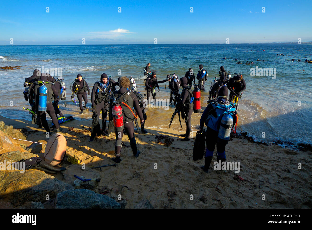 Scuba Diving from the beach Monterey California Pacific Ocean Stock ...
