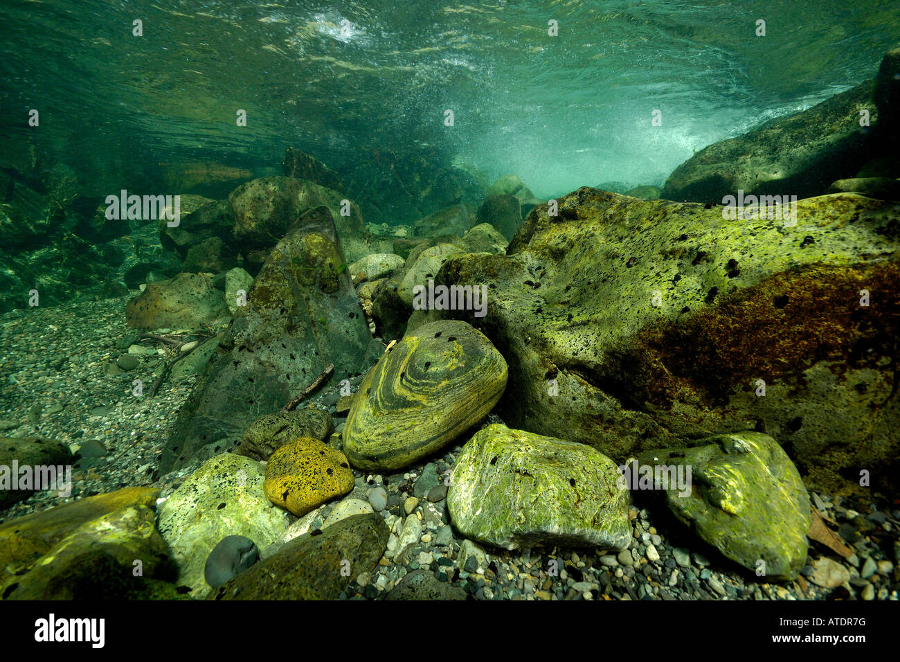 Smith river hi-res stock photography and images - Alamy
