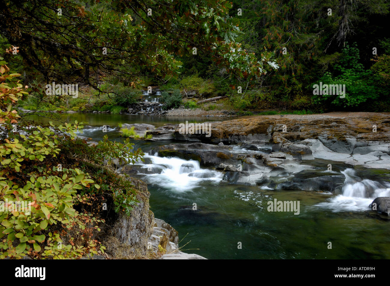 Steamboat Creek Oregon Stock Photo - Alamy