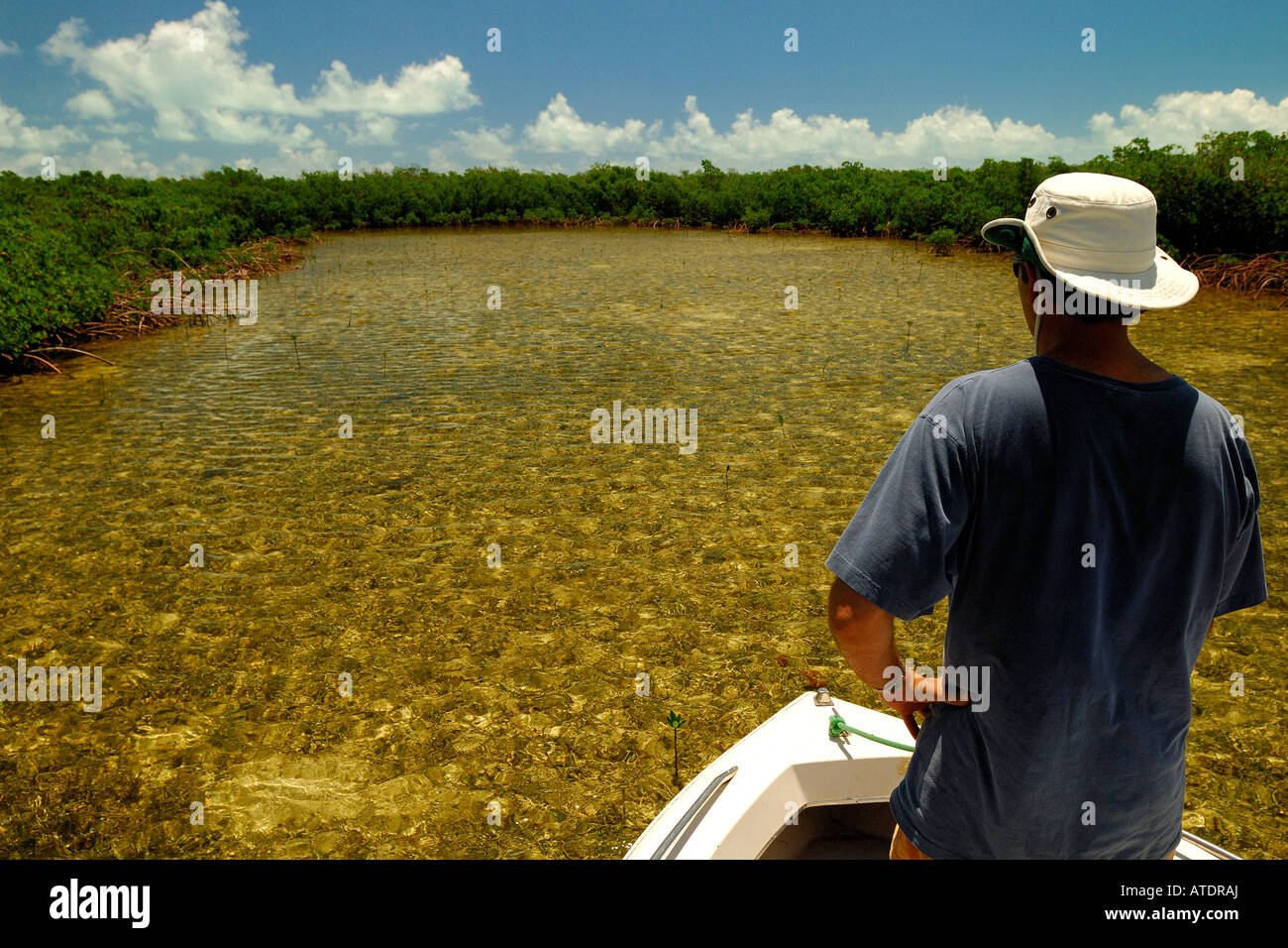 Sightseeing in the Bahamas Bimini Bahamas Atlantic Ocean Stock Photo ...