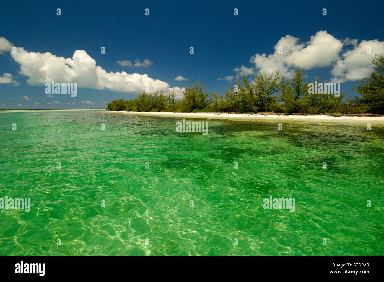 Bimini Bahamas Atlantic Ocean Stock Photo - Alamy