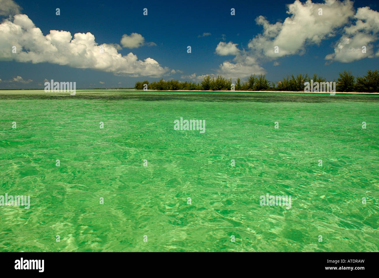 Bimini Bahamas Atlantic Ocean Stock Photo - Alamy