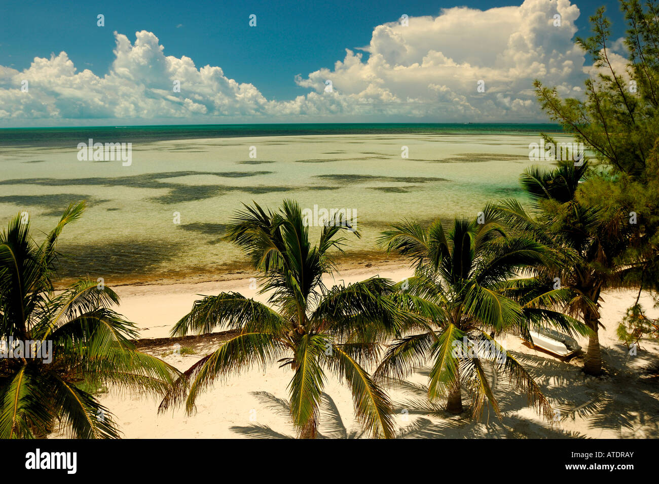 Bahamas bimini beach hi-res stock photography and images - Alamy