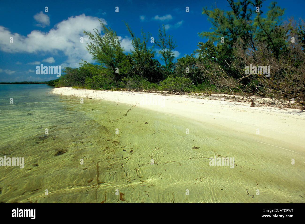 South Bimini Bahamas Atlantic Ocean Stock Photo - Alamy