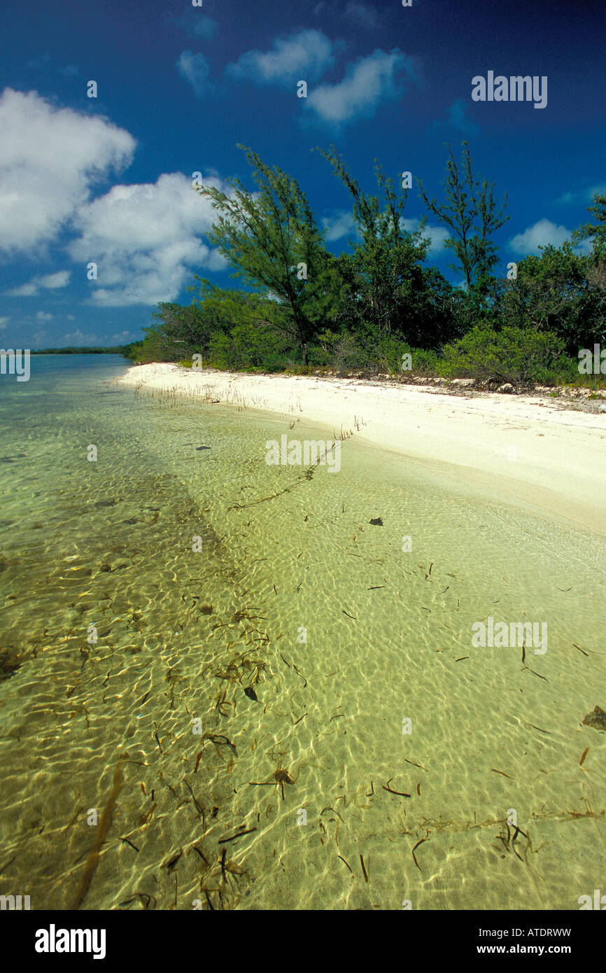 South Bimini Bahamas Atlantic Ocean Stock Photo - Alamy