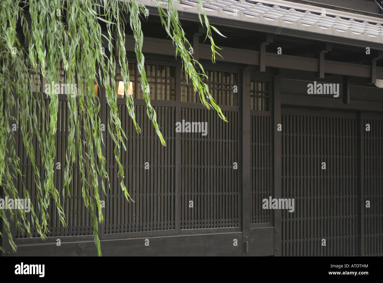 Japanese willow tree hi-res stock photography and images - Alamy