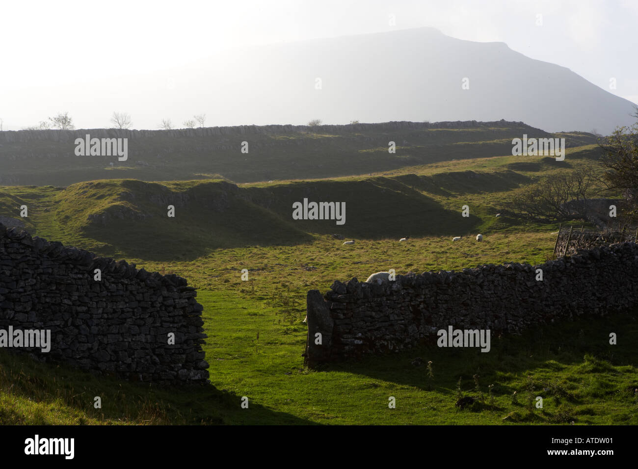 Yorkshire view hi-res stock photography and images - Alamy