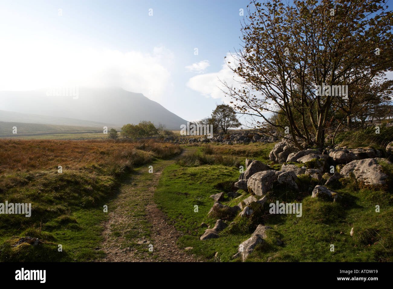 Ingleborough Yorkshire path to summit through limestone pavement Stock ...