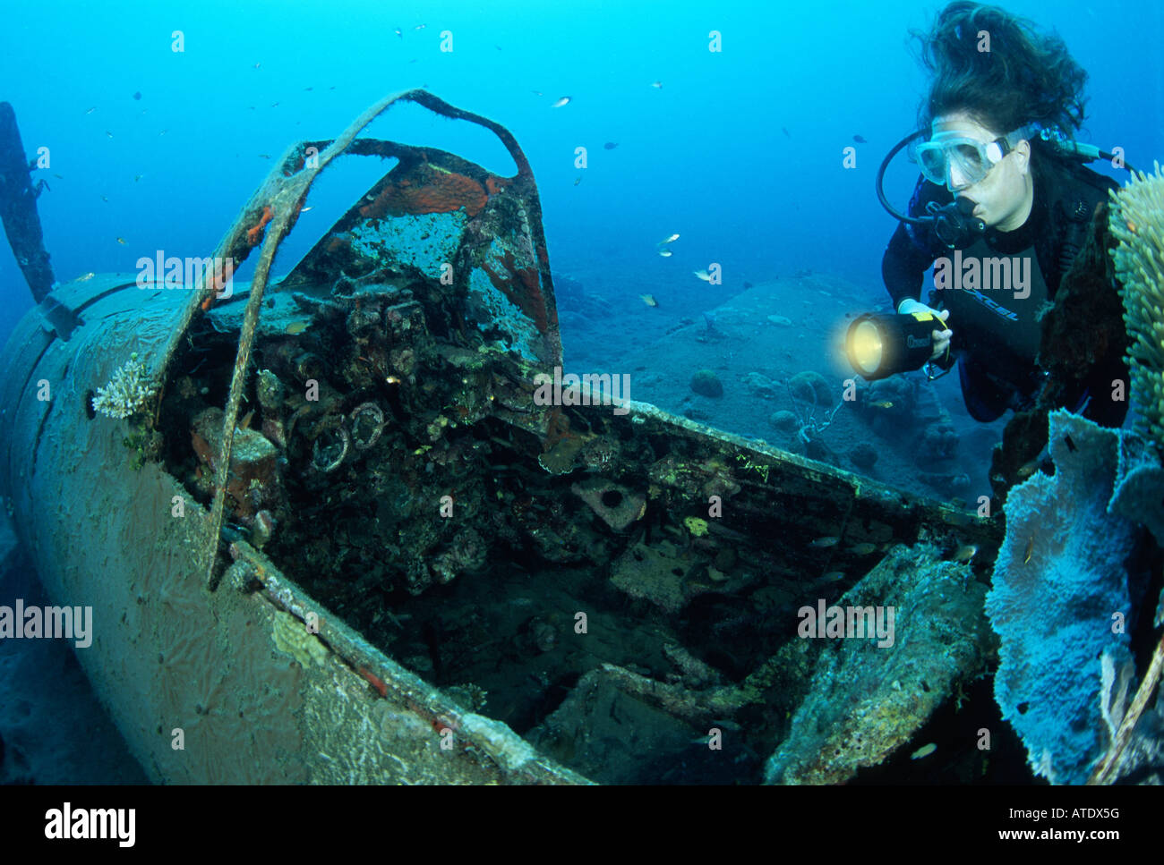 A6m4 hi-res stock photography and images - Alamy