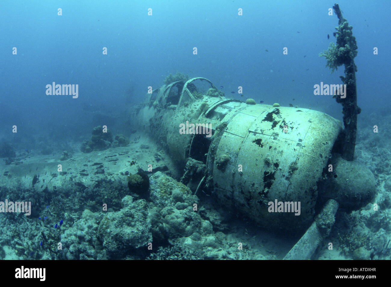Japanese kate bomber wreck nakajima b5n hi-res stock photography and ...