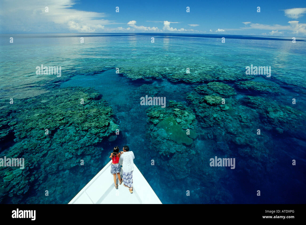Tropical coral reef, Fiji Stock Photo - Alamy