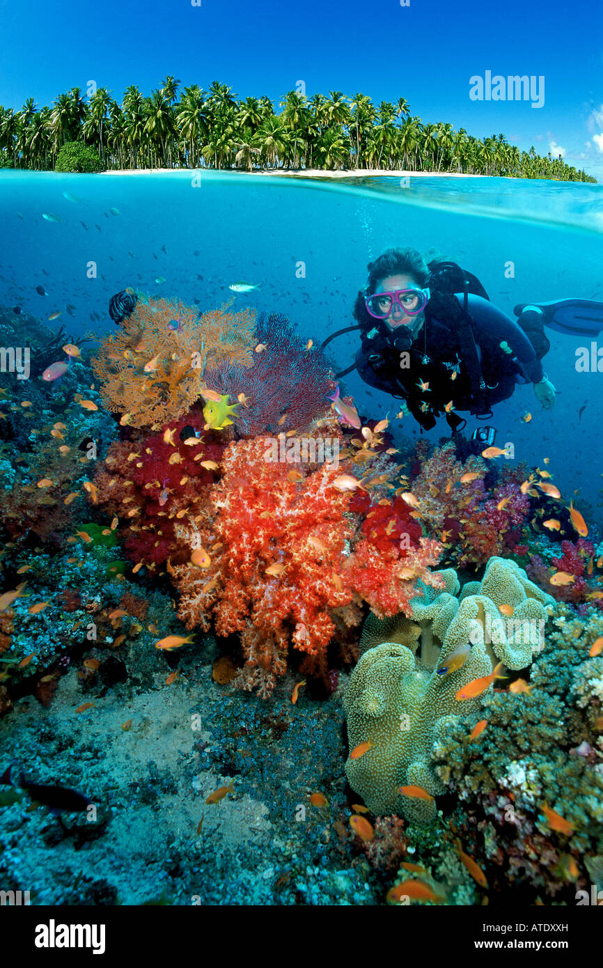 Tropical coral reef Fiji Pacific Ocean Stock Photo - Alamy