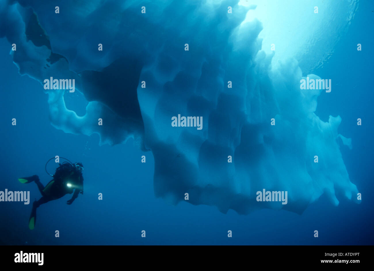 Ice diving alps hi-res stock photography and images - Alamy