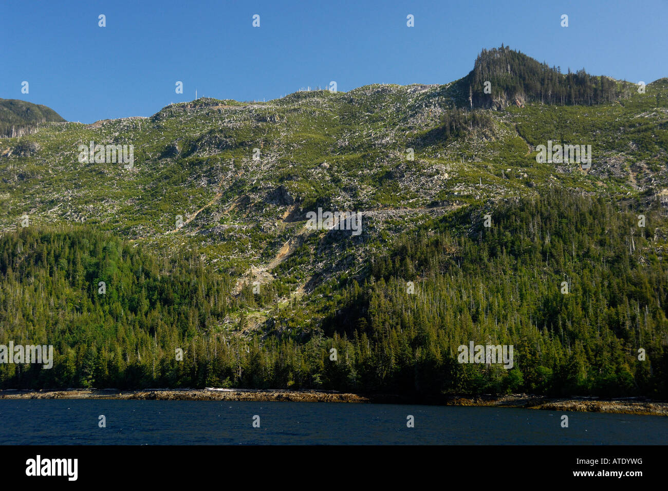 Clear cut logging Inside Passage Alaska Pacific Ocean Stock Photo - Alamy