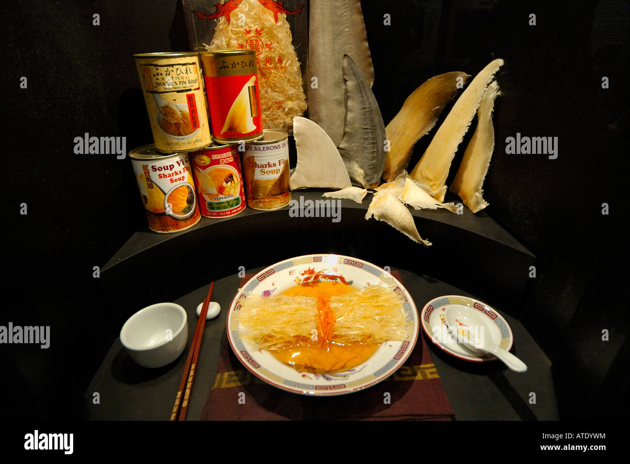 Shark fin soup display Stock Photo - Alamy