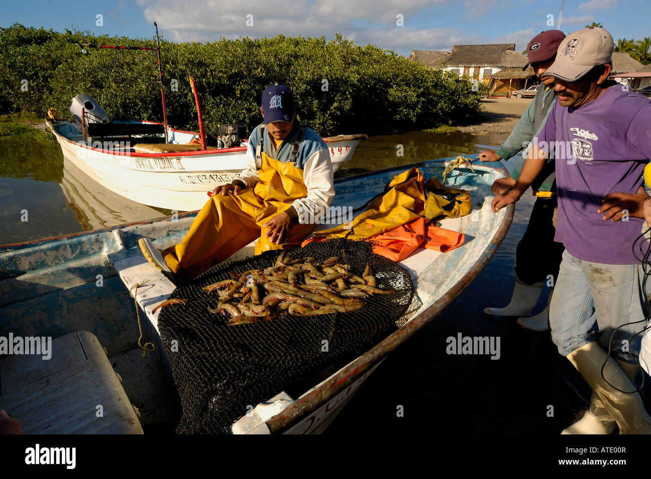 Shrimp fishing Mexico Stock Photo - Alamy